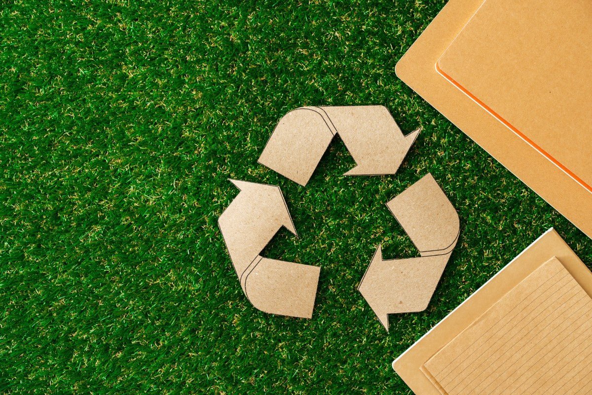 Cardboard Box Recycling Guide for Businesses | PackQueen
