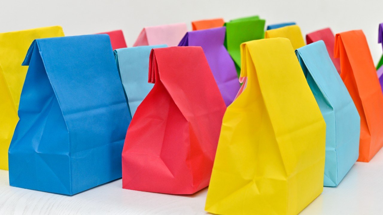 Paper Bags with No Handles - Brown & Coloured | PackQueen