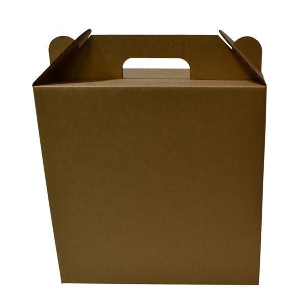 SAMPLE - B Flute - Large Delivery Surprise Box 8674 - Kraft Brown